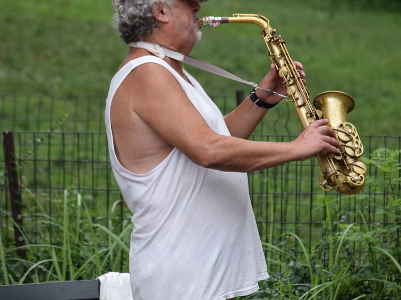 Saxaphone Player In Central Park | Smithsonian Photo Contest ...
