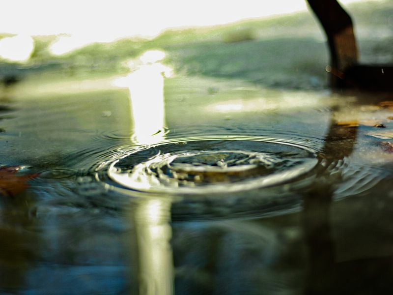 Raindrop ripple | Smithsonian Photo Contest | Smithsonian Magazine