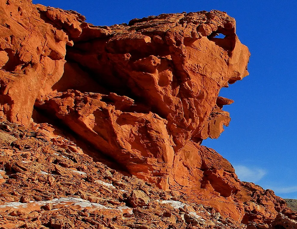 The Alignment | Smithsonian Photo Contest | Smithsonian Magazine