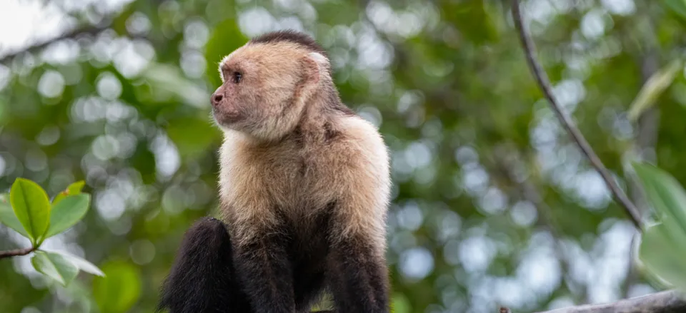 Smithsonian Travel, Worldwide Adventures, Great Values, Cruises, Tours ...