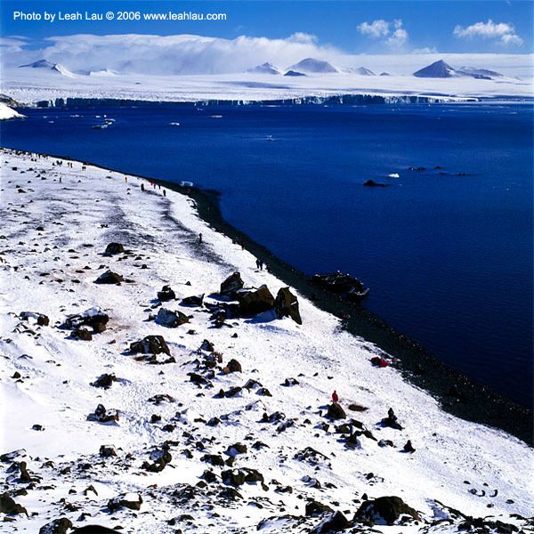 Antarctic Beach | Smithsonian Photo Contest | Smithsonian Magazine