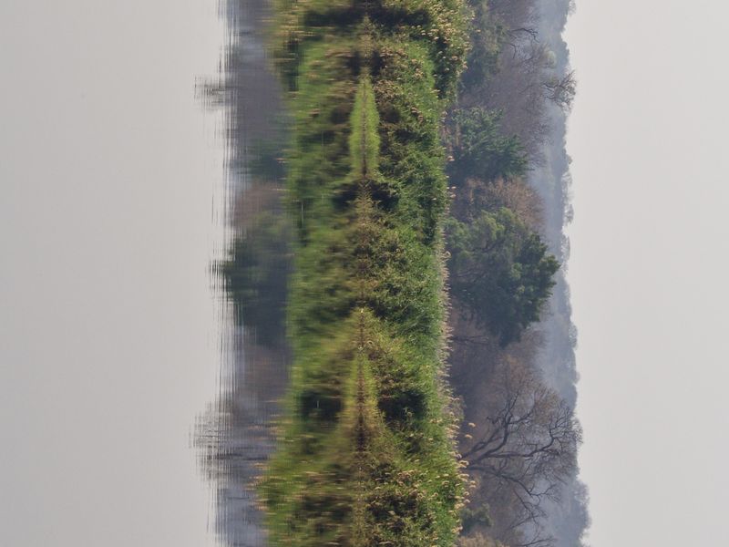 Totem Reflection? | Smithsonian Photo Contest | Smithsonian Magazine