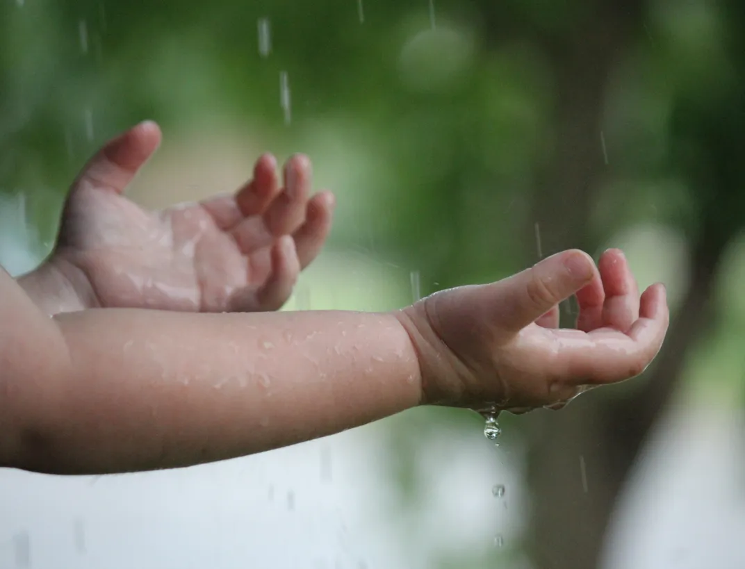 A summer rain | Smithsonian Photo Contest | Smithsonian Magazine
