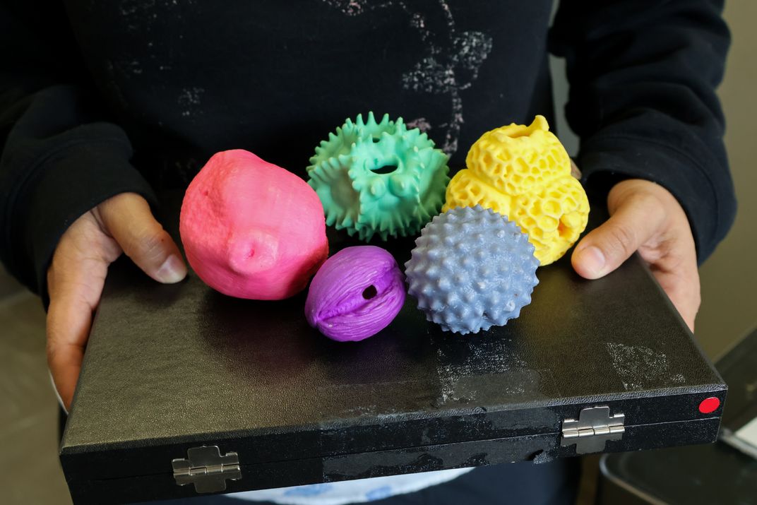 Meet the Scientist Digitizing Millions of Fossilized Pollen Grains to ...