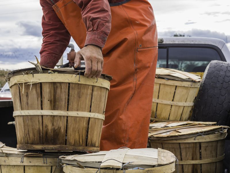 Working Waterman | Smithsonian Photo Contest | Smithsonian Magazine
