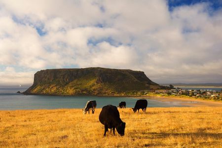 Journey to the Center of Earth