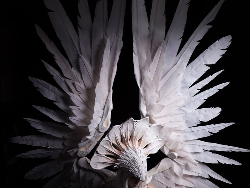Platinum Angel 2 | Smithsonian Photo Contest | Smithsonian Magazine