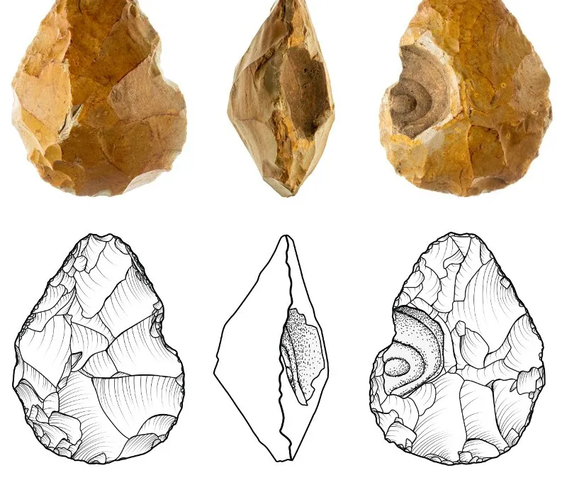 These Big-Brained Ancestors May Have Loved Crystals Just as Much as ...