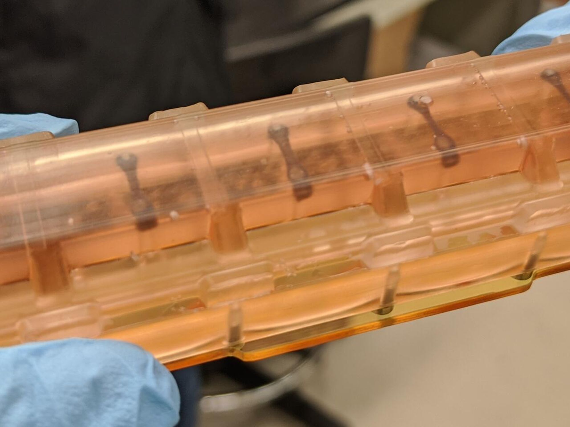 Heart Tissue Shows Signs of Aging After Just One Month in Space, Study ...