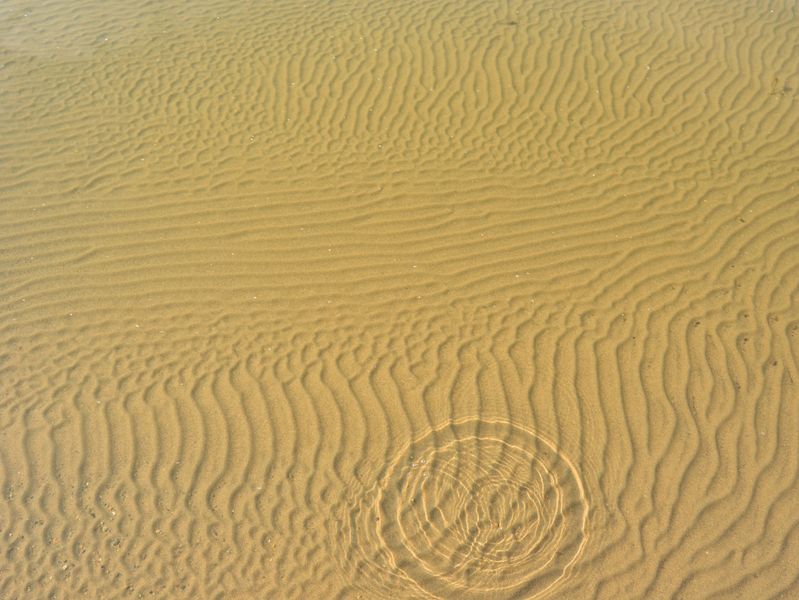 Near-shore sand ripple interference patterns on a shallow lake bottom ...