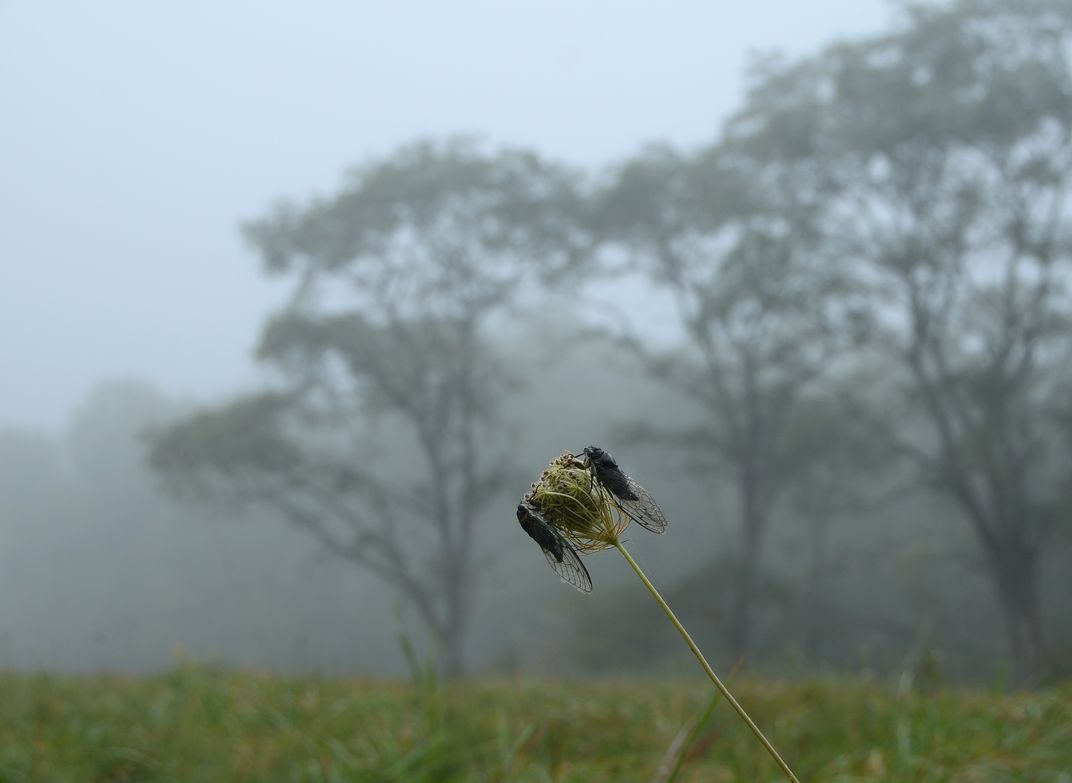 Resting Point | Smithsonian Photo Contest | Smithsonian Magazine