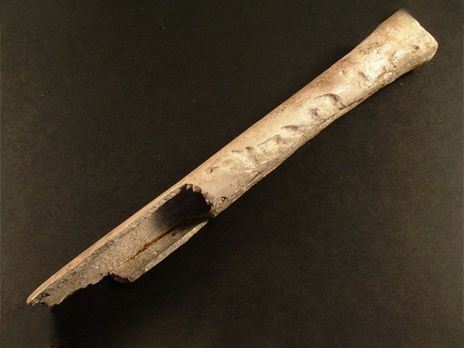 Bronze Age Britons Crafted Instruments, Decorations Out of Relatives' Bones