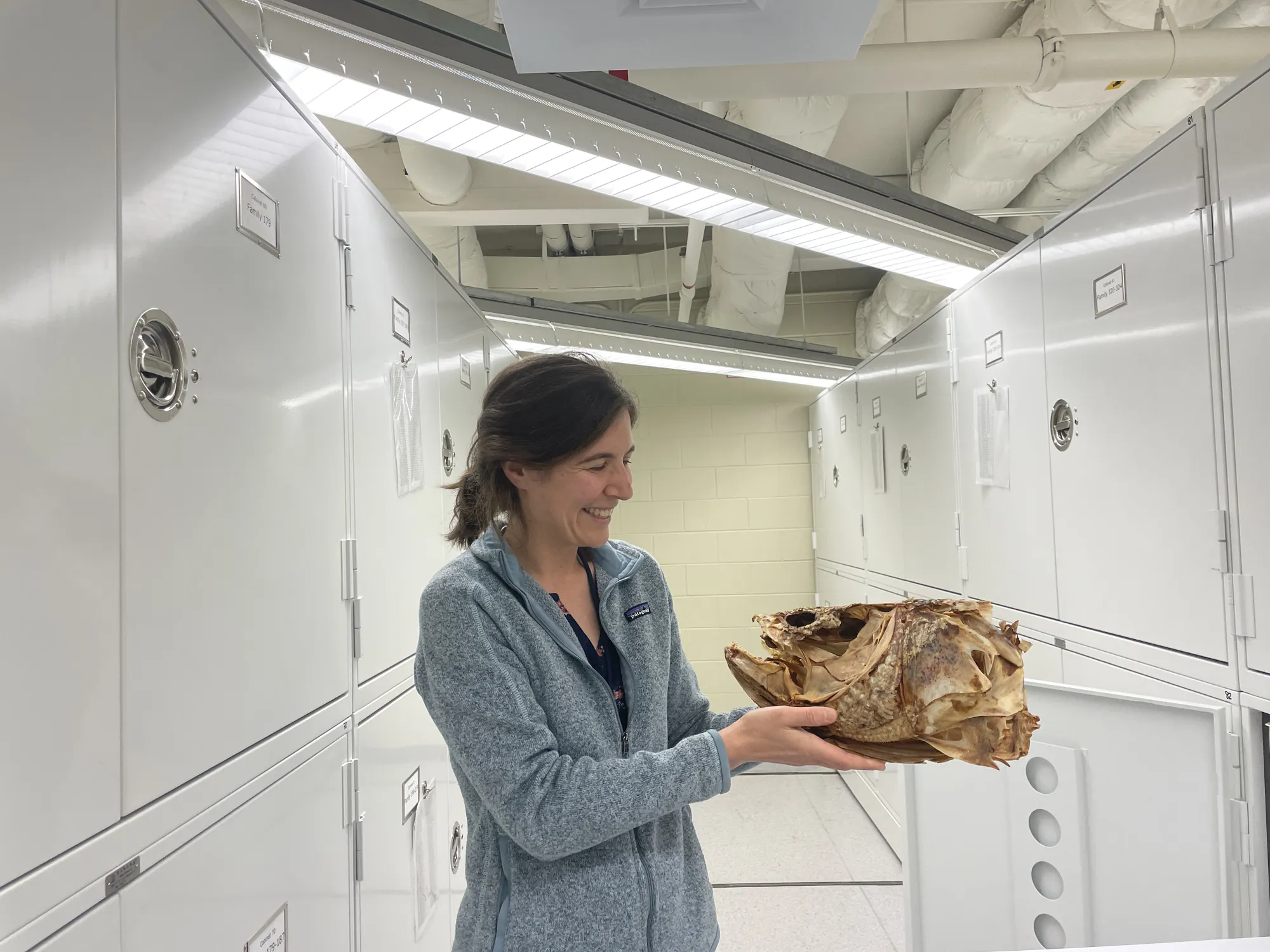 Meet the Museum Scientist Who Sails the Ocean and Sifts Through Seafood ...