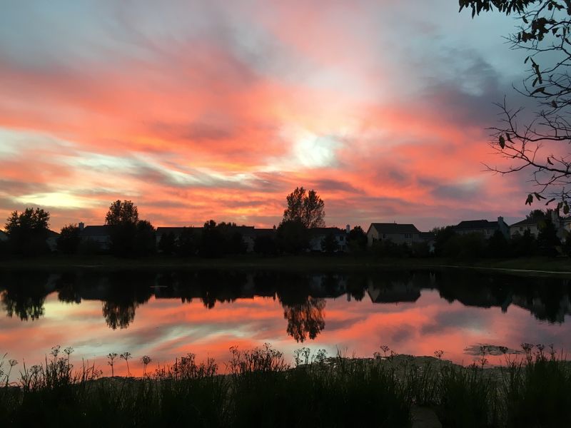 Sunset or picasso? | Smithsonian Photo Contest | Smithsonian Magazine