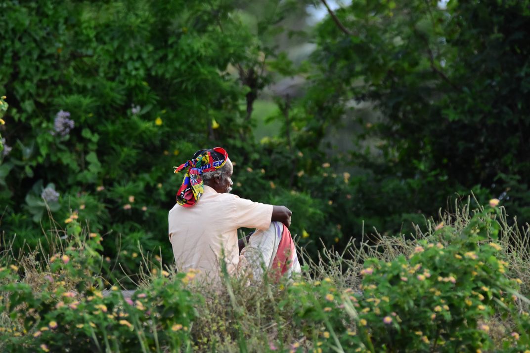 Enjoying Nature | Smithsonian Photo Contest | Smithsonian Magazine