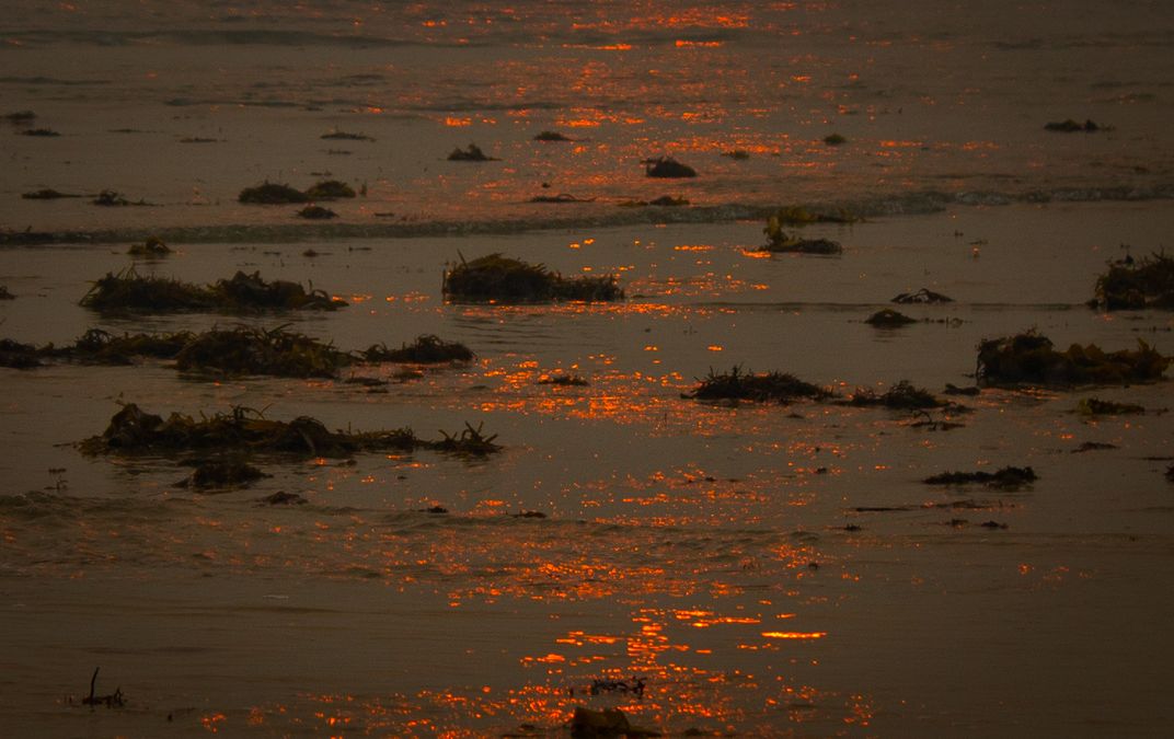 Sunset through the smoke haze | Smithsonian Photo Contest | Smithsonian ...