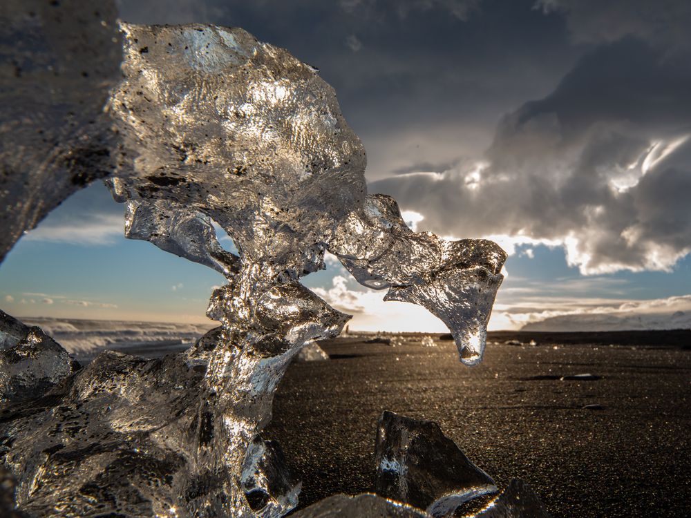 Ice Animal | Smithsonian Photo Contest | Smithsonian Magazine