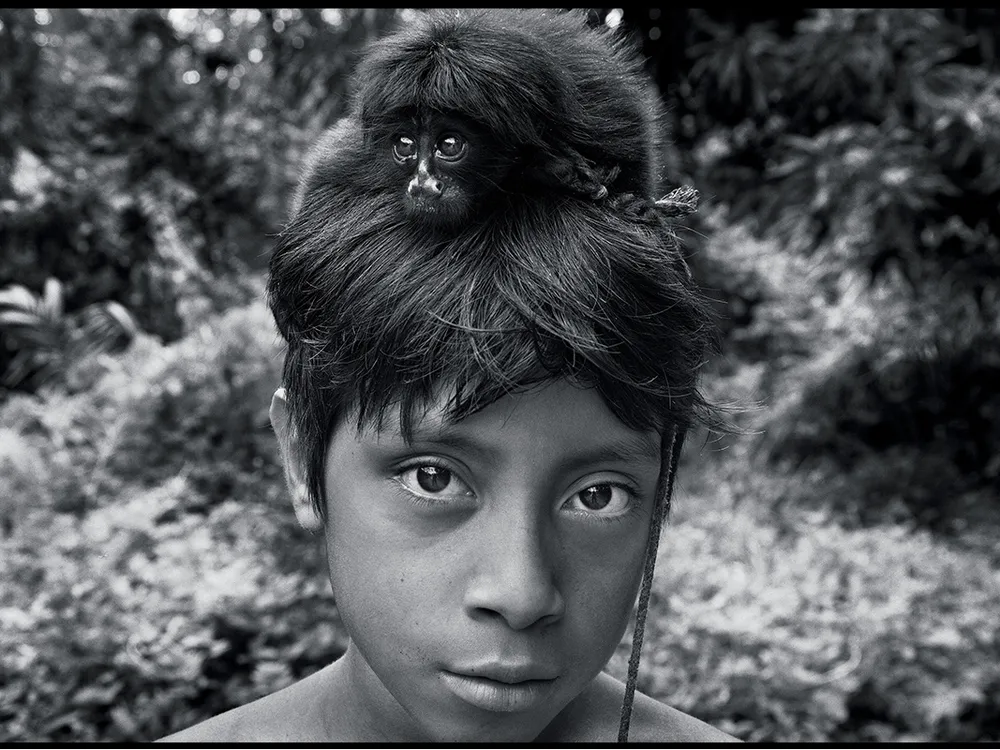 Sebastião Salgado Has Seen the Forest, Now He's Seeing the Trees