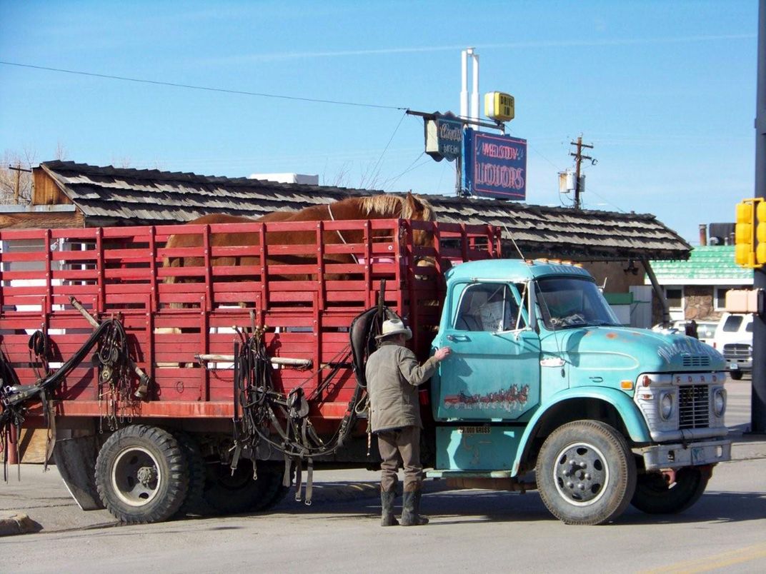 Preparing team and wagon for upcoming 4th of July parade in Lander ...
