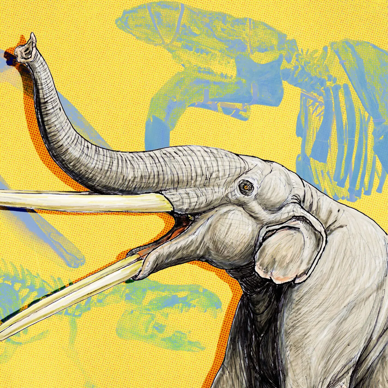 Clipart Images Of Elephants