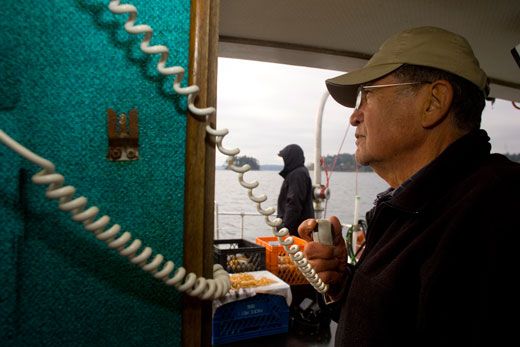 Geoducks: Happy as Clams