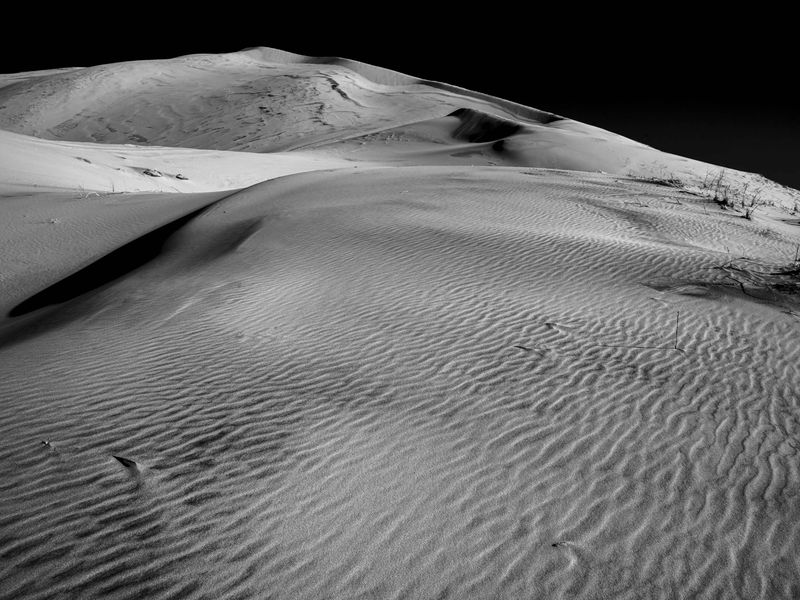 Sand dunes in the Mojave Desert Preserve | Smithsonian Photo Contest ...