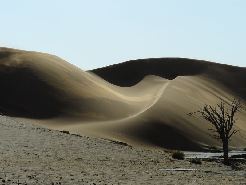 Light Rain in the Desert | Smithsonian Photo Contest | Smithsonian Magazine