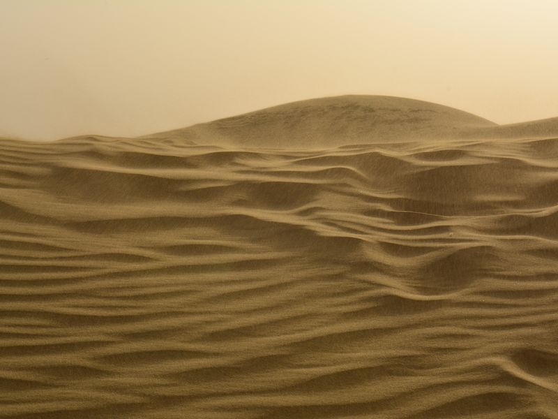 Sand Blowing Down A Sand Dune | Smithsonian Photo Contest | Smithsonian ...