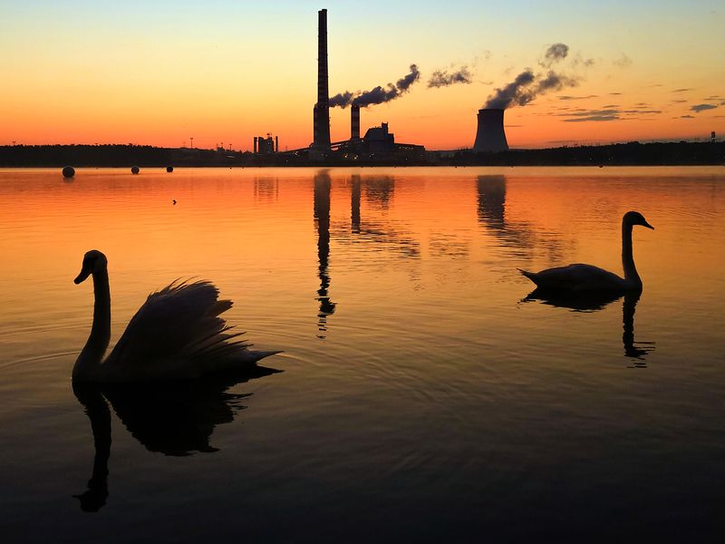 Destroyed nature | Smithsonian Photo Contest | Smithsonian Magazine