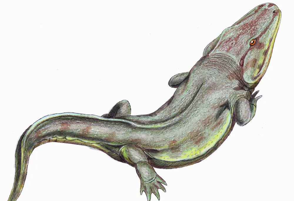 temnospondyls examples