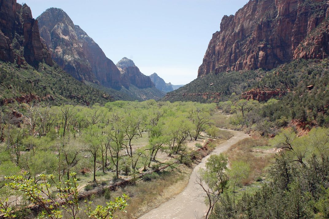 Hiking the Middle Emerald Pools trail in Zion National Park you get the ...