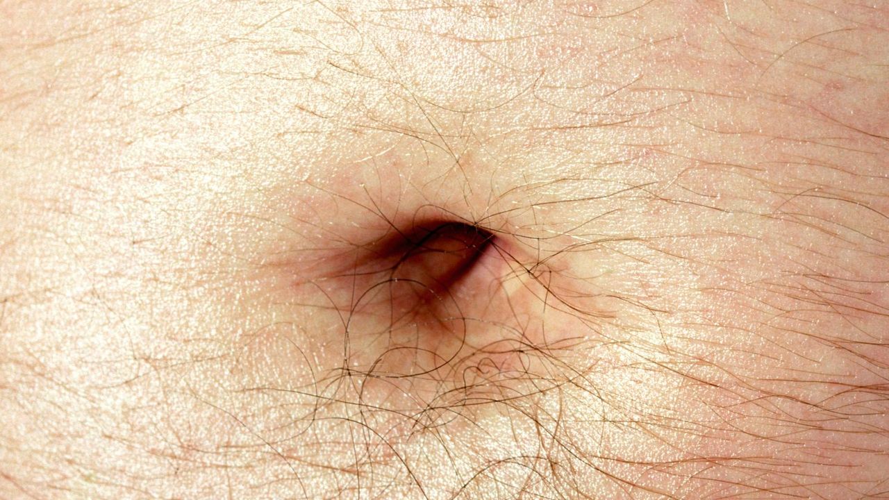 belly button lint collection