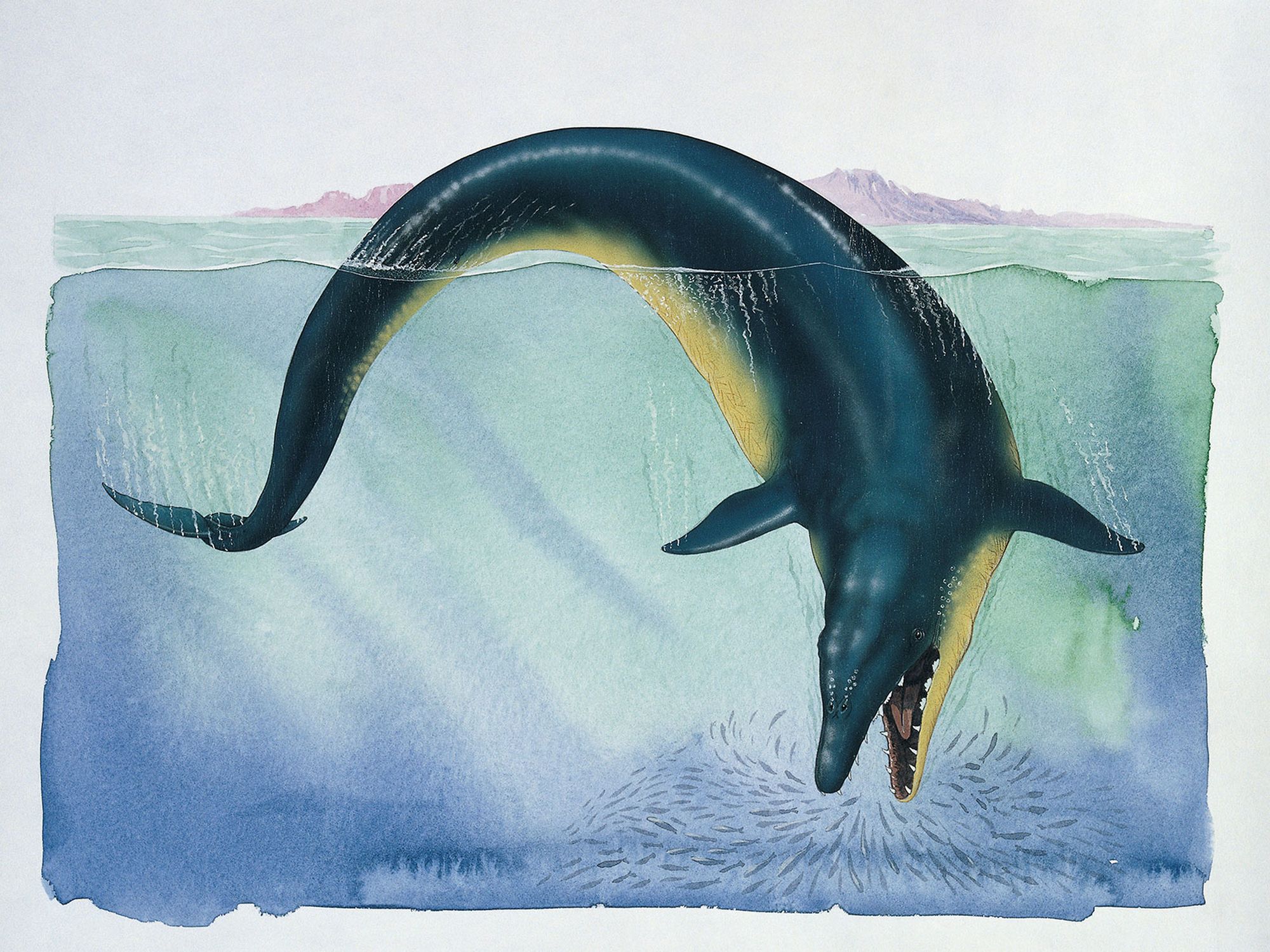 Ancient Whales Were the Biggest and Smallest of Their Kind to Ever Roam ...