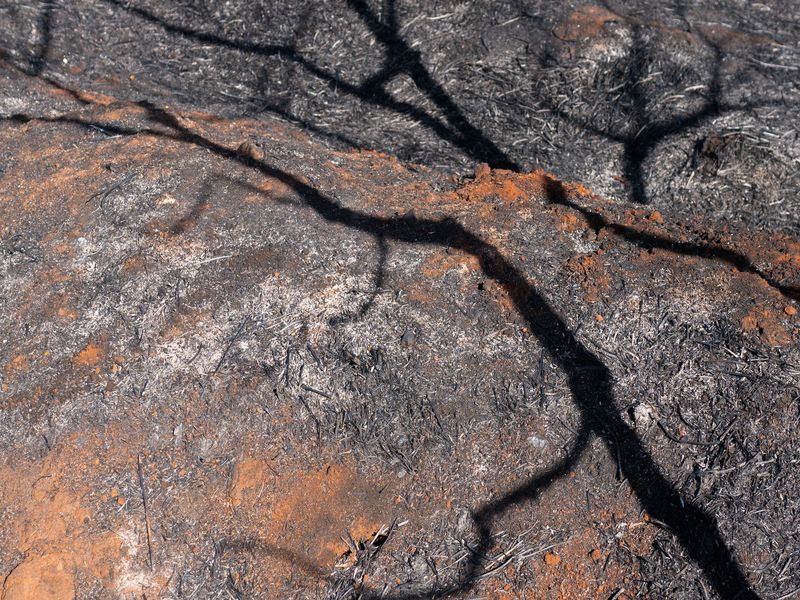 scorched earth | Smithsonian Photo Contest | Smithsonian Magazine