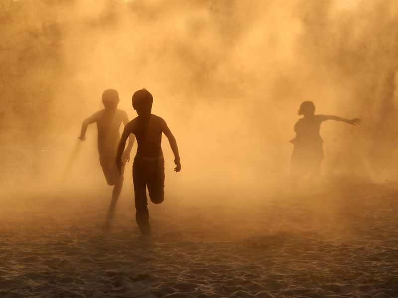 GOLDEN SHOWER | Smithsonian Photo Contest | Smithsonian Magazine