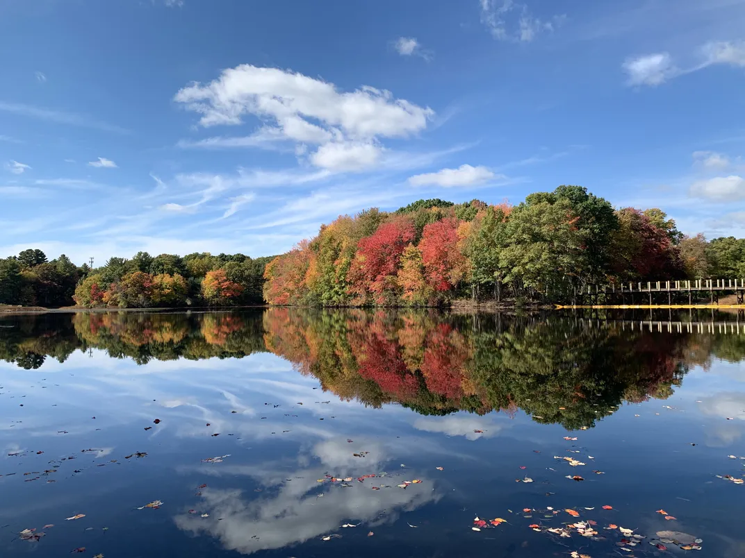 Serene fall landscape outlining a pond in the suburbs of the US ...