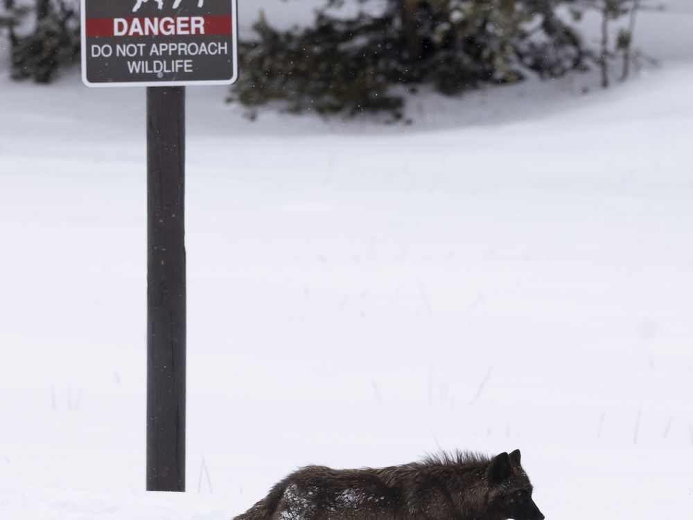 Do not approach wildlife | Smithsonian Photo Contest | Smithsonian Magazine