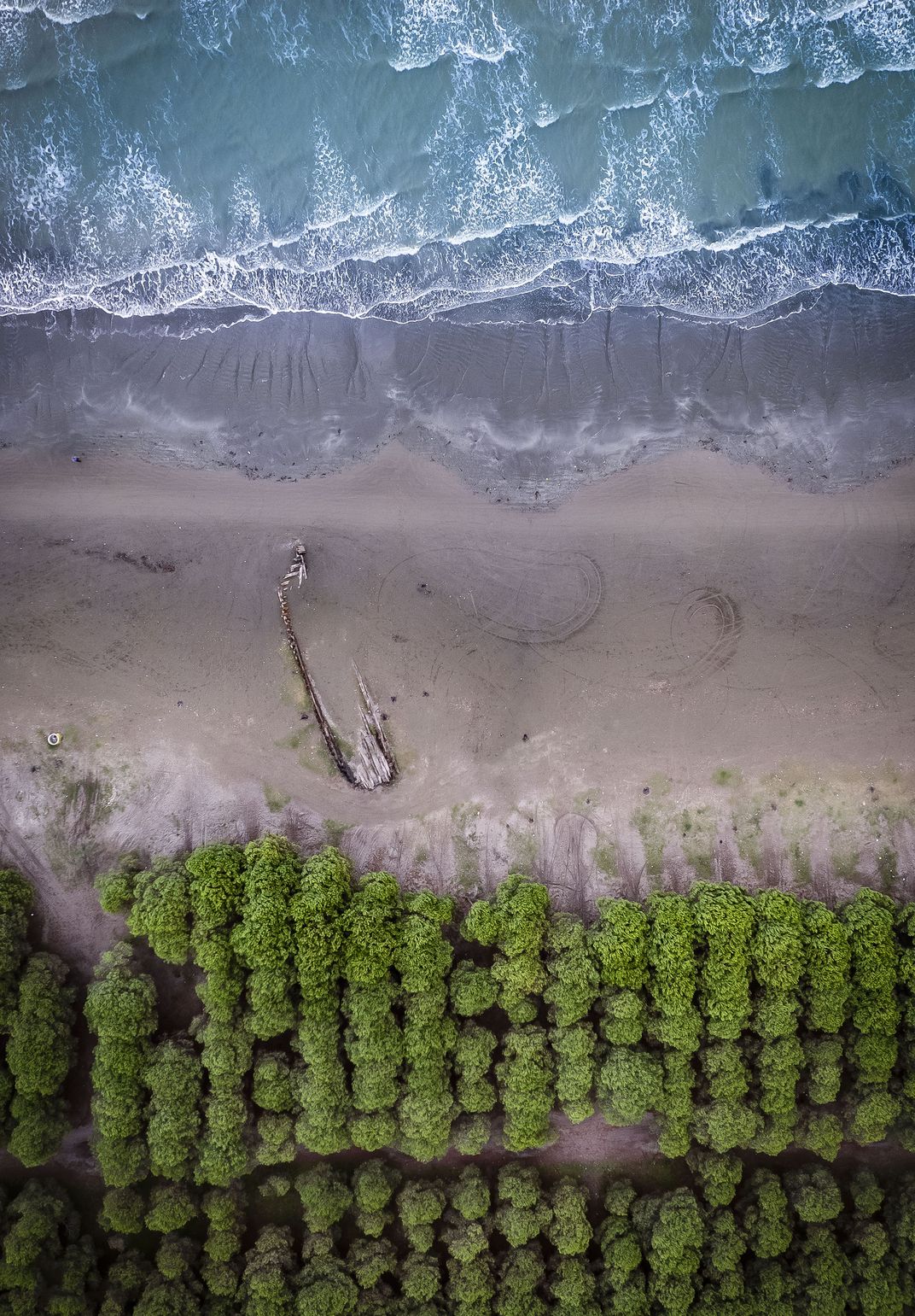 sea kiss forest | Smithsonian Photo Contest | Smithsonian Magazine