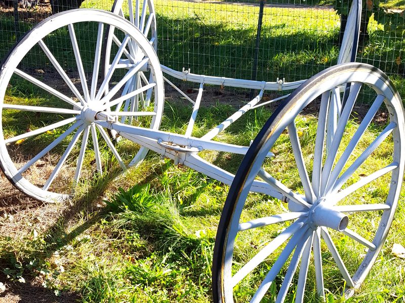 Old World Wagon | Smithsonian Photo Contest | Smithsonian Magazine