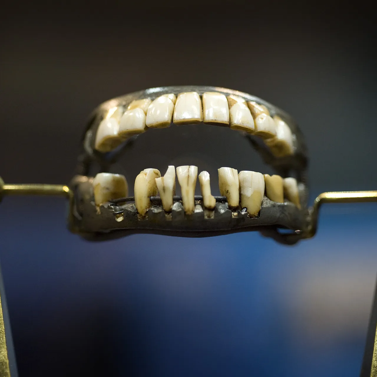 What Are Teeth Made Out Of George Washington