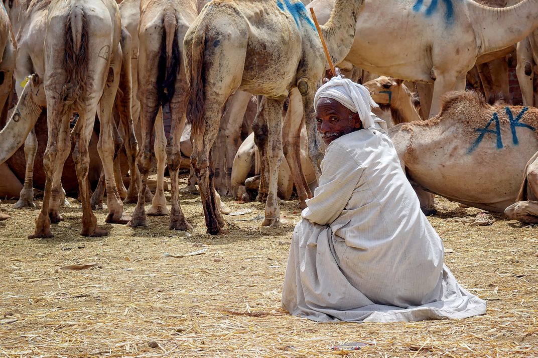 Camel Man | Smithsonian Photo Contest | Smithsonian Magazine