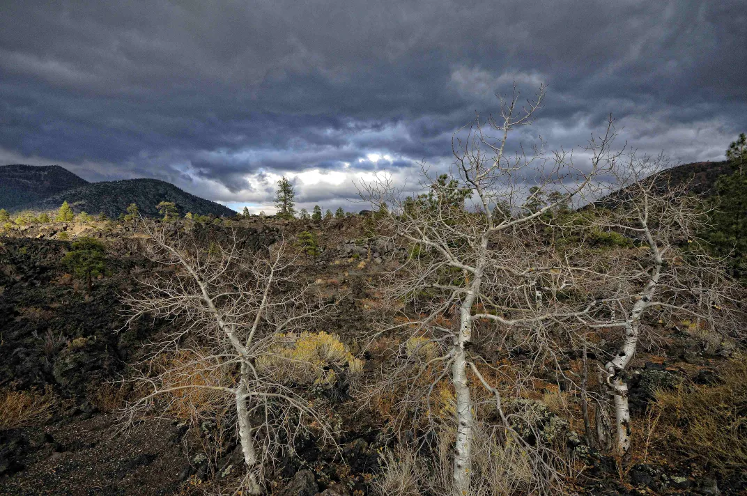 After The Storm | Smithsonian Photo Contest | Smithsonian Magazine