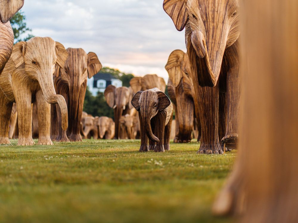 A Herd of Life-Size Elephant Sculptures Is Marching Across America
