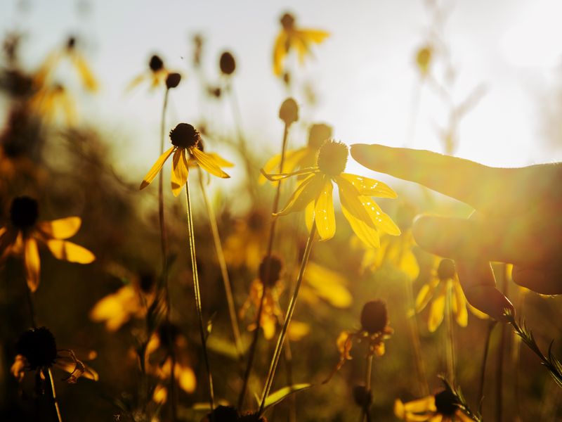 Touching the Sun | Smithsonian Photo Contest | Smithsonian Magazine