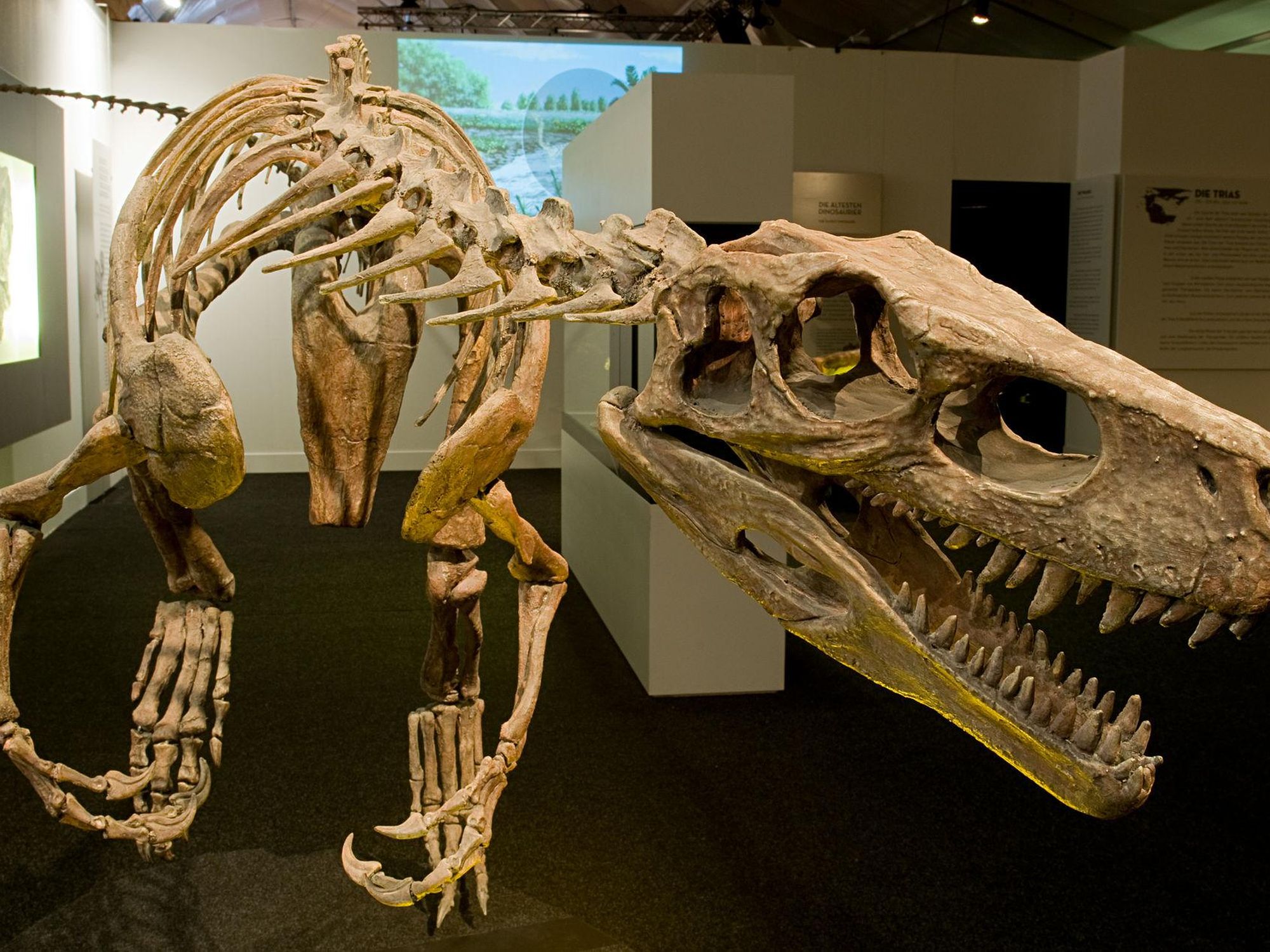 The Rise of Meat-Eating Dinosaurs Is More Complicated Than We Thought