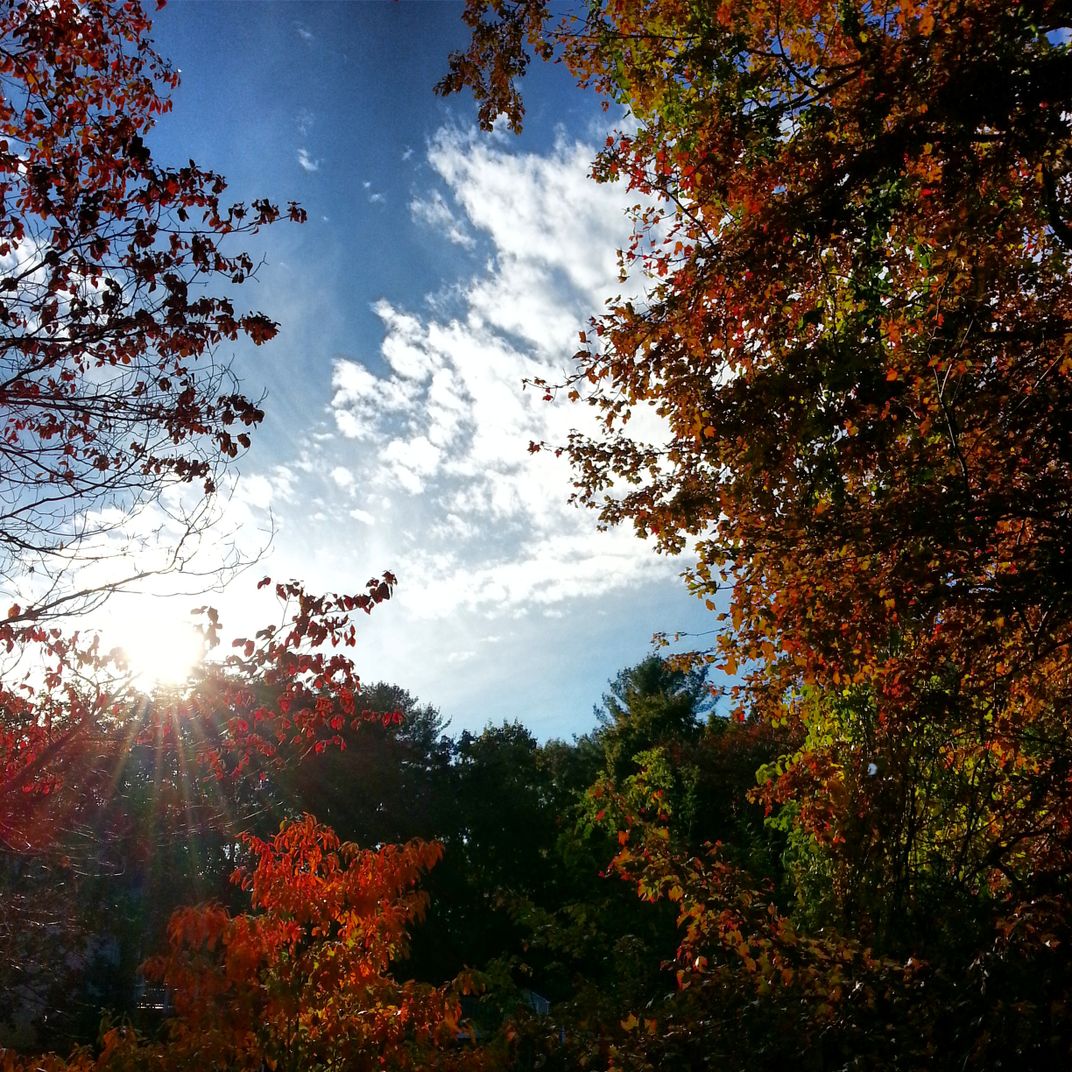 Autumn Sunset | Smithsonian Photo Contest | Smithsonian Magazine