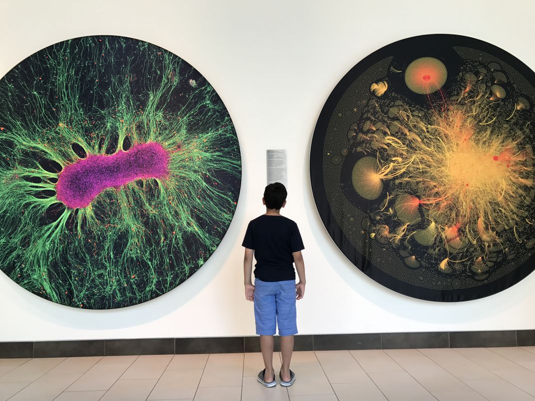 Science, art or both? | Smithsonian Photo Contest | Smithsonian Magazine