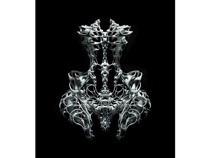 iris van herpen 2011