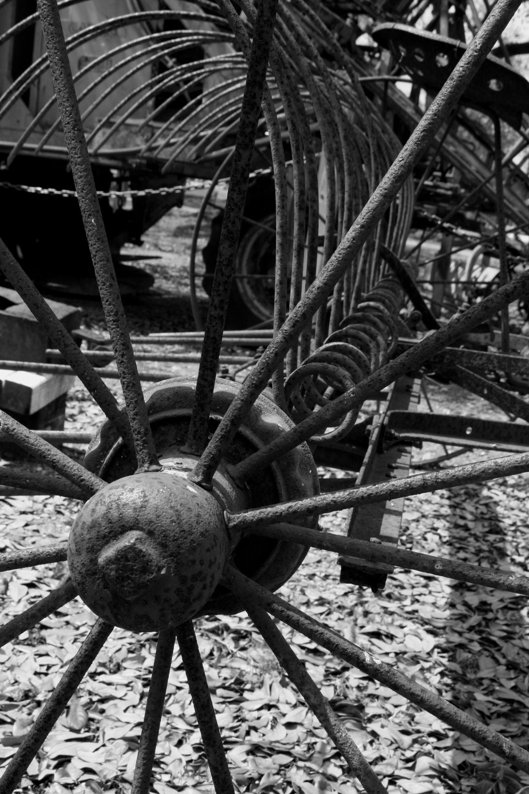 South Louisiana rustic old farm equipment wheel. | Smithsonian Photo ...