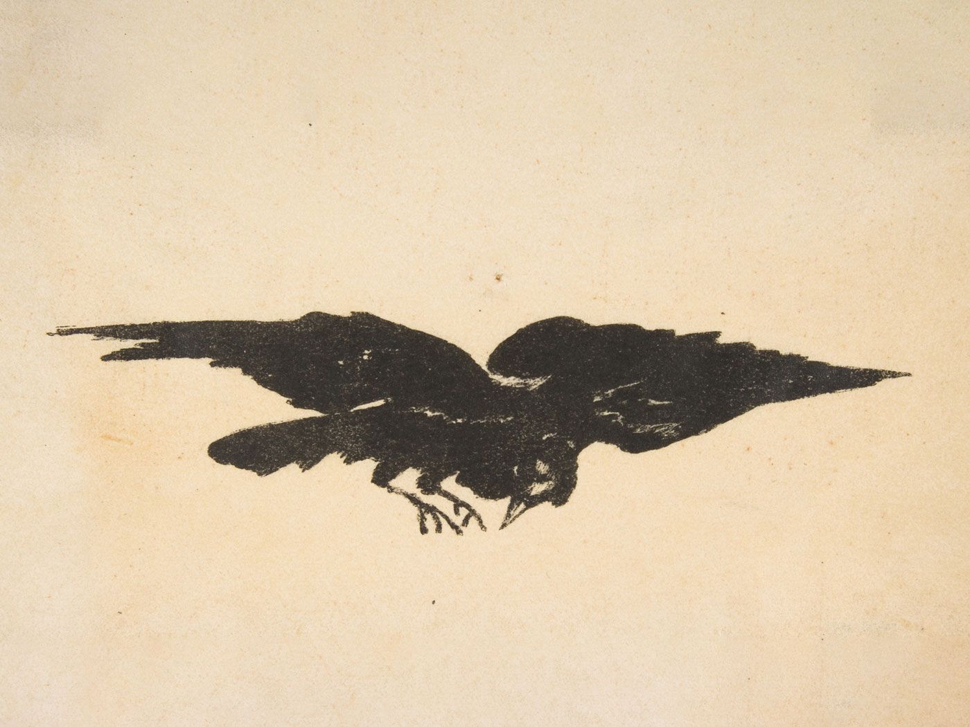 Discover Why 'The Raven,' Edgar Allan Poe's Narrative Poem About a ...